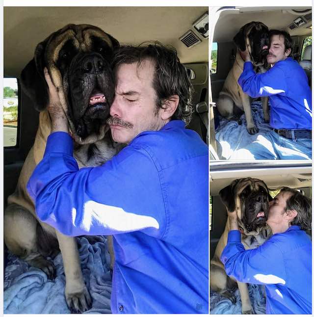 Therapy Dog Stuck In Traffic Jam Helps Man Who Really Needed a Hug