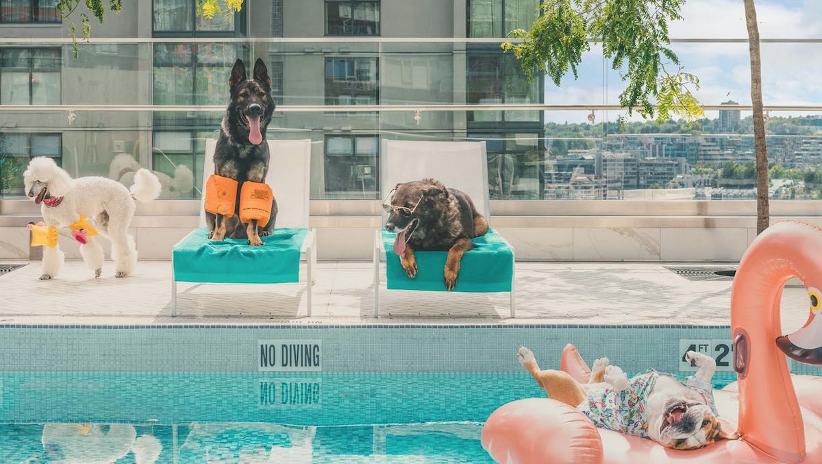 Vancouver Police Dogs are All About Having Fun in This Year's Calendar ...