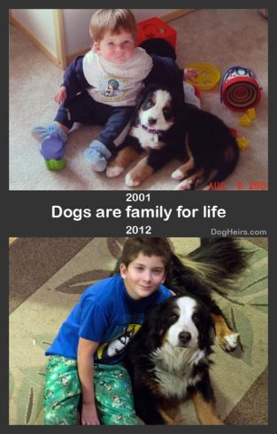 Dogs are Family For Life: 'Then and Now' Photos of Lifelong Friendships