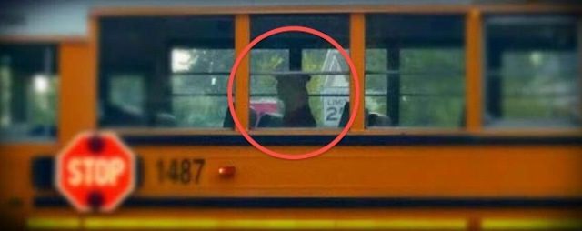 Stray Pit Bull Who Jumped on School Bus and Then Disappeared is Rescued