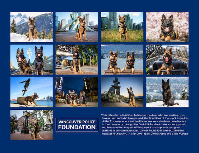 Vancouver Police Dogs Smile for the Camera Throughout the City to ...