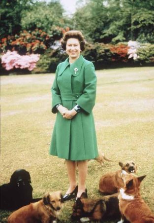 A Look Back at Queen Elizabeth II's Love of Dogs