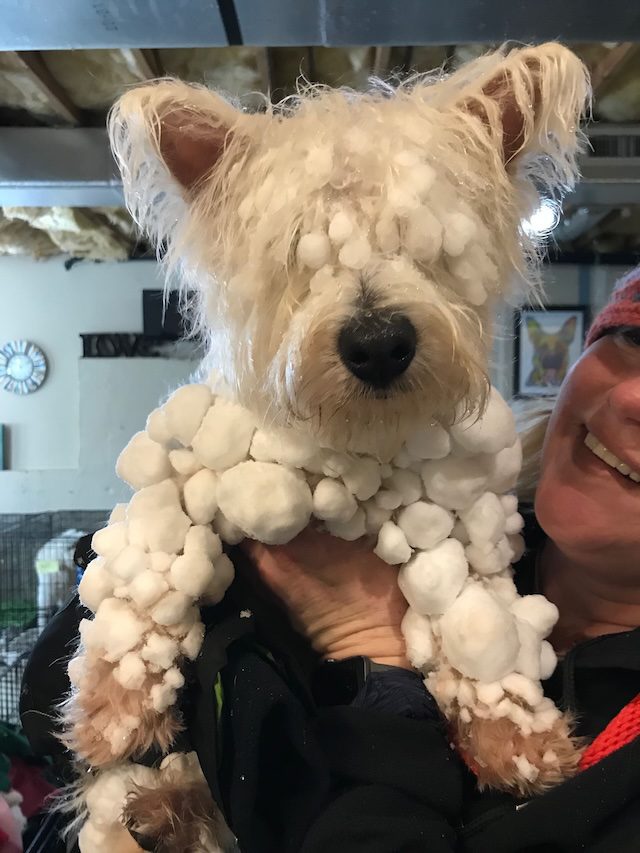 17 Dogs Hilariously Turn Into Abominable Snow Dogs After Playing Outside