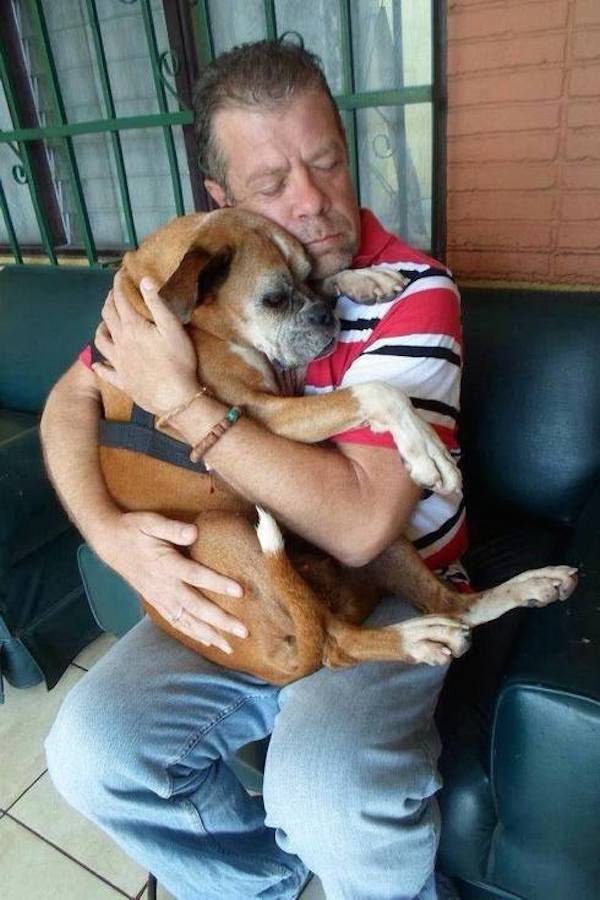 Man's Amazing Reunion with Missing Boxer Dog He Rescued Off the Streets
