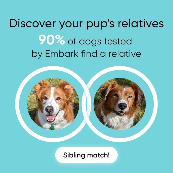 Embark Breed Identification Kit - DogHeirs