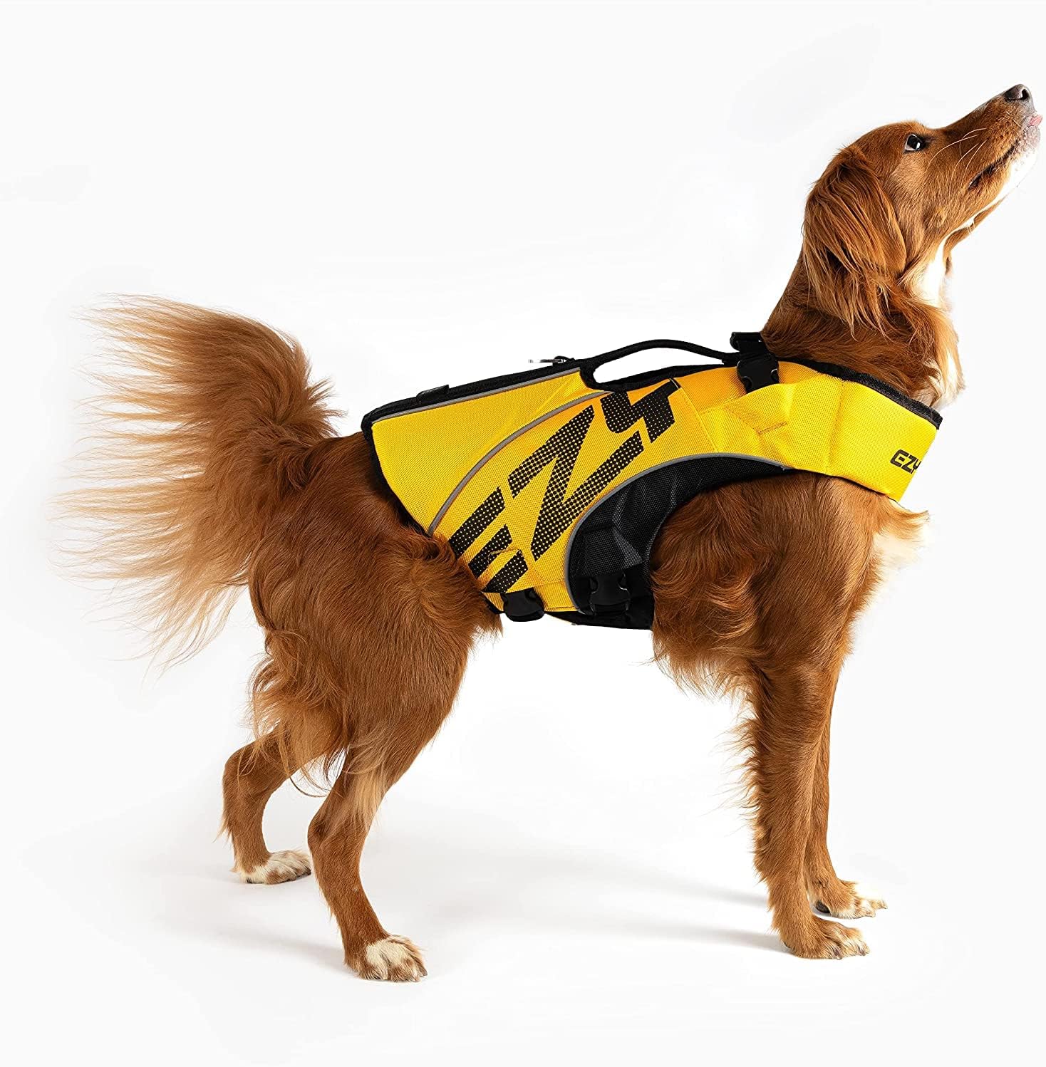 EzyDog DFD X2 Boost Dog Life Jacket - DogHeirs