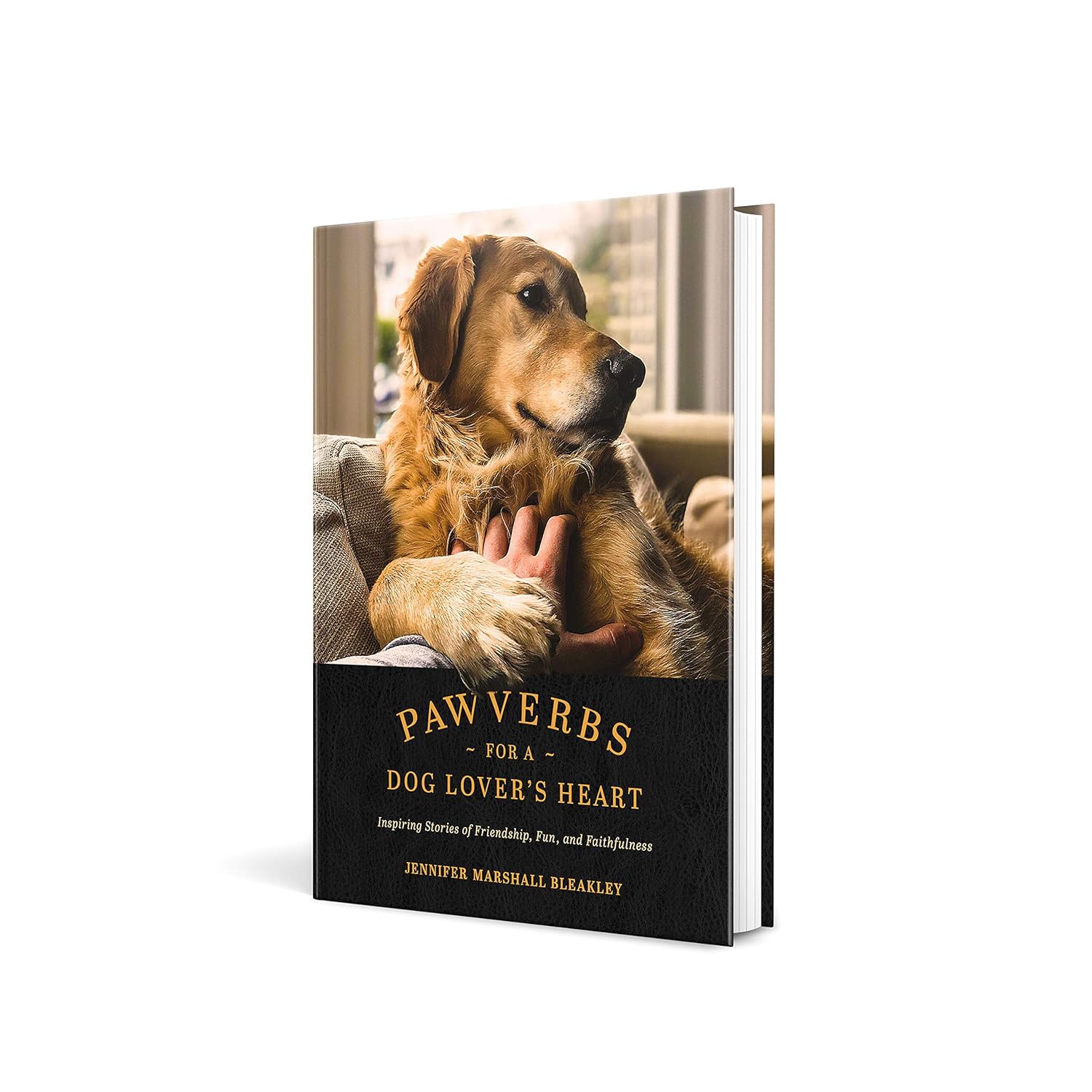 Pawverbs for a Dog Lover’s Heart: Inspiring Stories of Friendship, Fun ...
