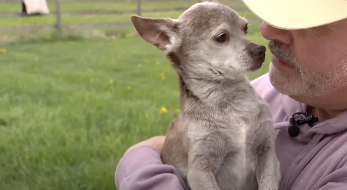 Cardiologist Provides Loving Sanctuary for Senior Rescue Dogs