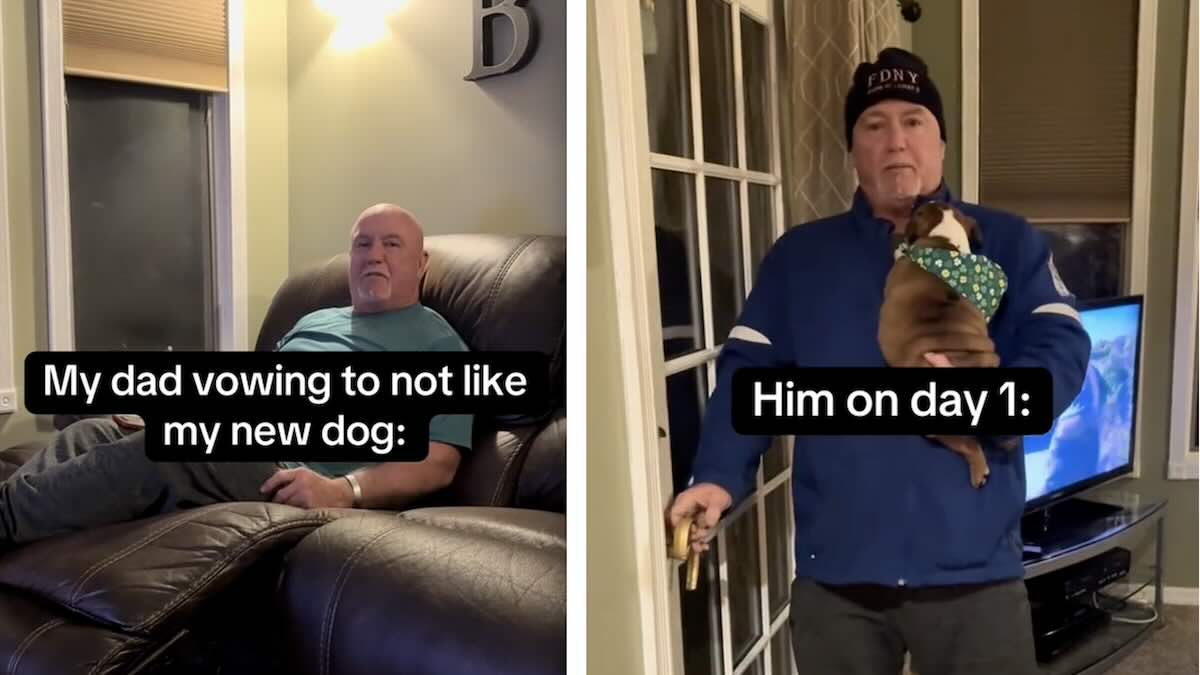 Dad Who Vowed To Never Pet Daughter's Dog Becomes Biggest Softie